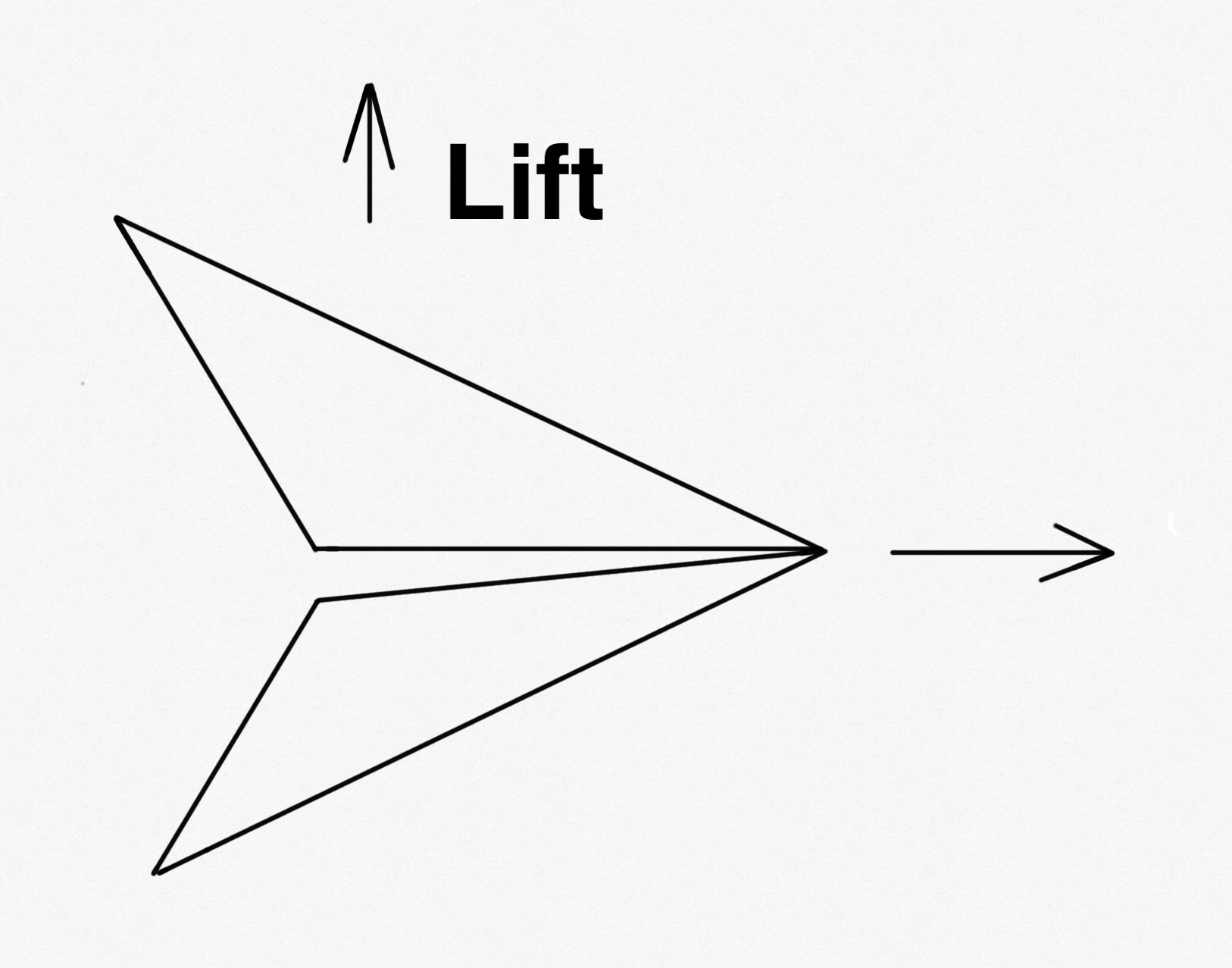 Flying Booklet - Charlotte's Writing